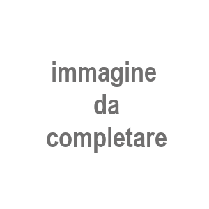 Guida Rapida - GruppoComet